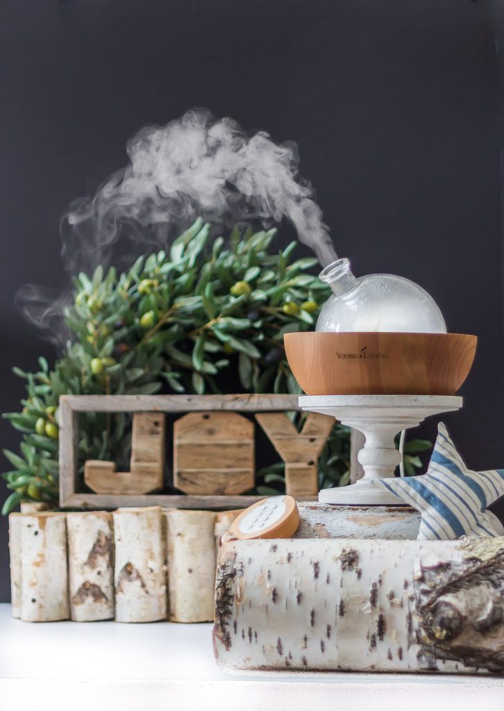 Winter diffuser recipe-2